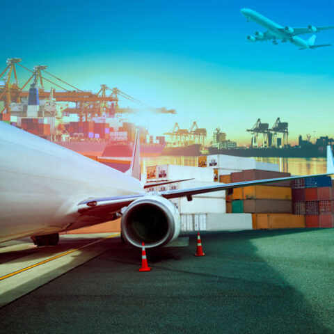 Customs Clearance Services | Platinum® Freight Management